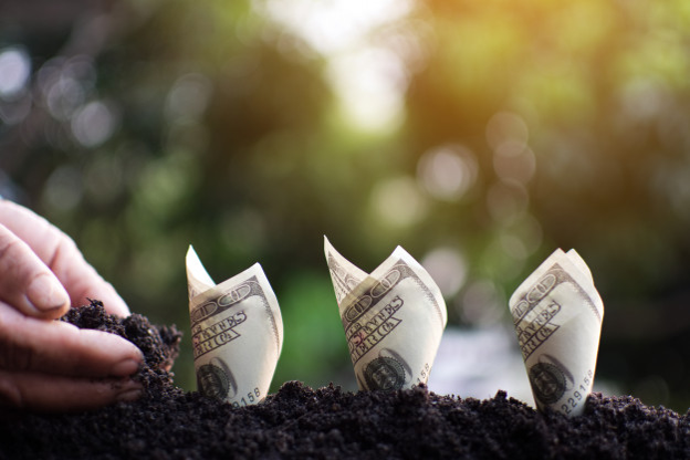 The Changing Climate of Charitable Giving – The Economics Review